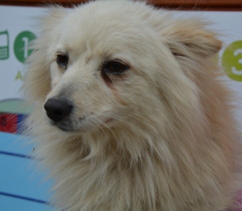 Soltvadkerti Sindy – Az Én Kedvencem