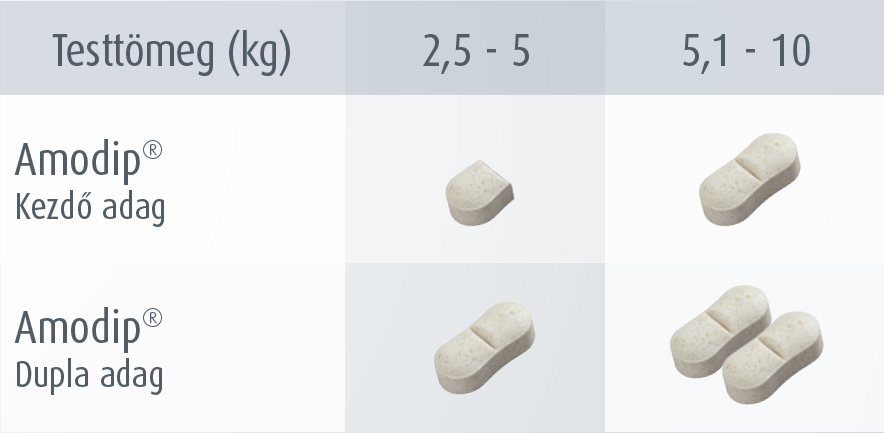 Amodip® tabletta macskáknak – Az Én Kedvencem
