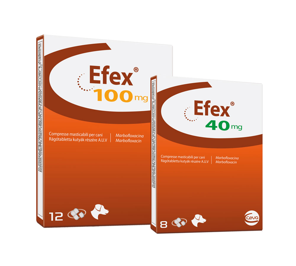 Efex® 40 mg és 100 mg rágótabletta kutyák részére – Az Én Kedvencem