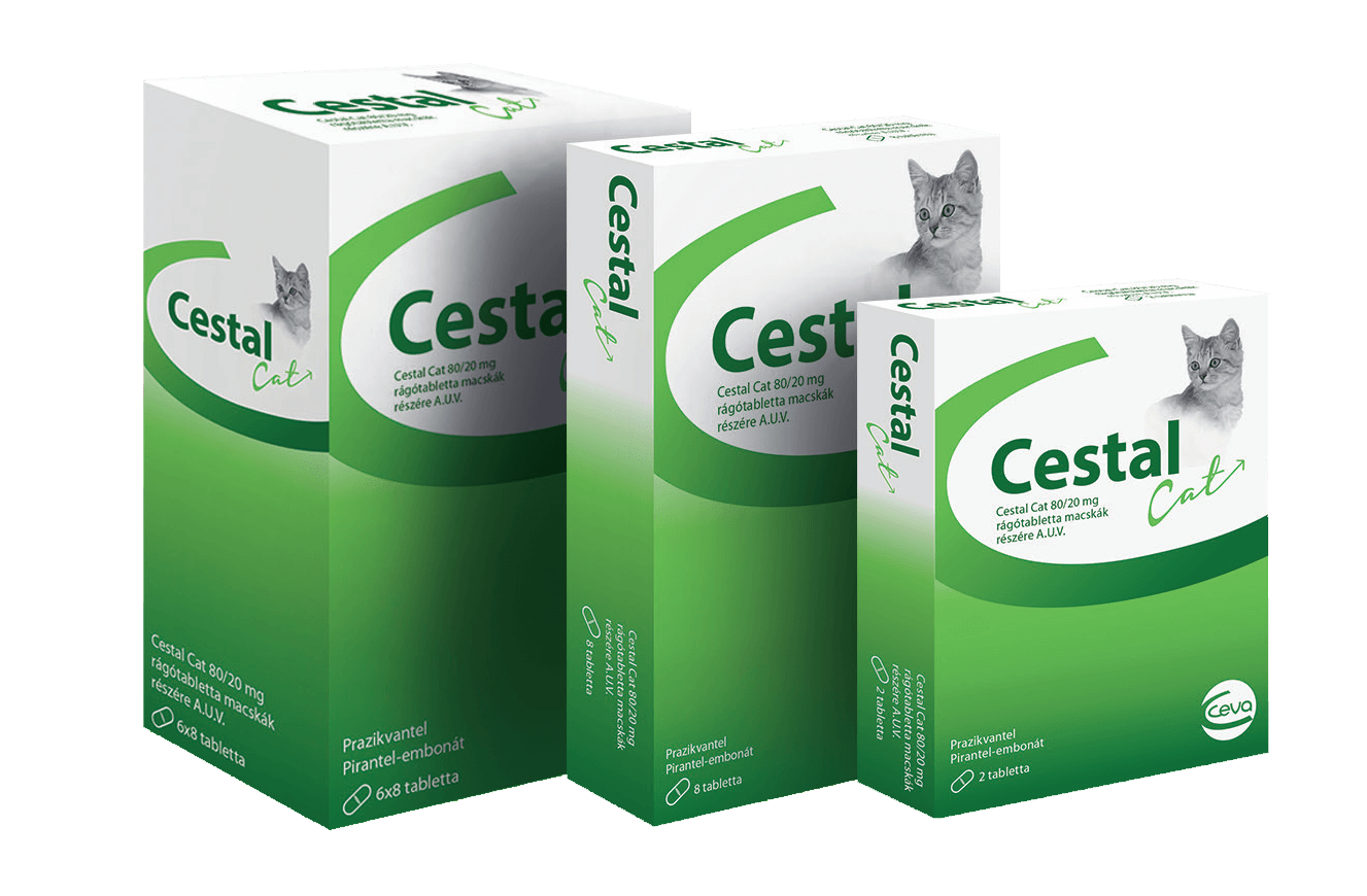 Cestal Cat rágótabletta macskáknak – Az Én Kedvencem