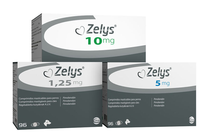 Zelys® tabletta kutyáknak – Az Én Kedvencem